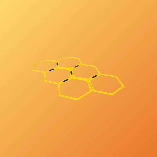 Agility Ladder - Pro Hex